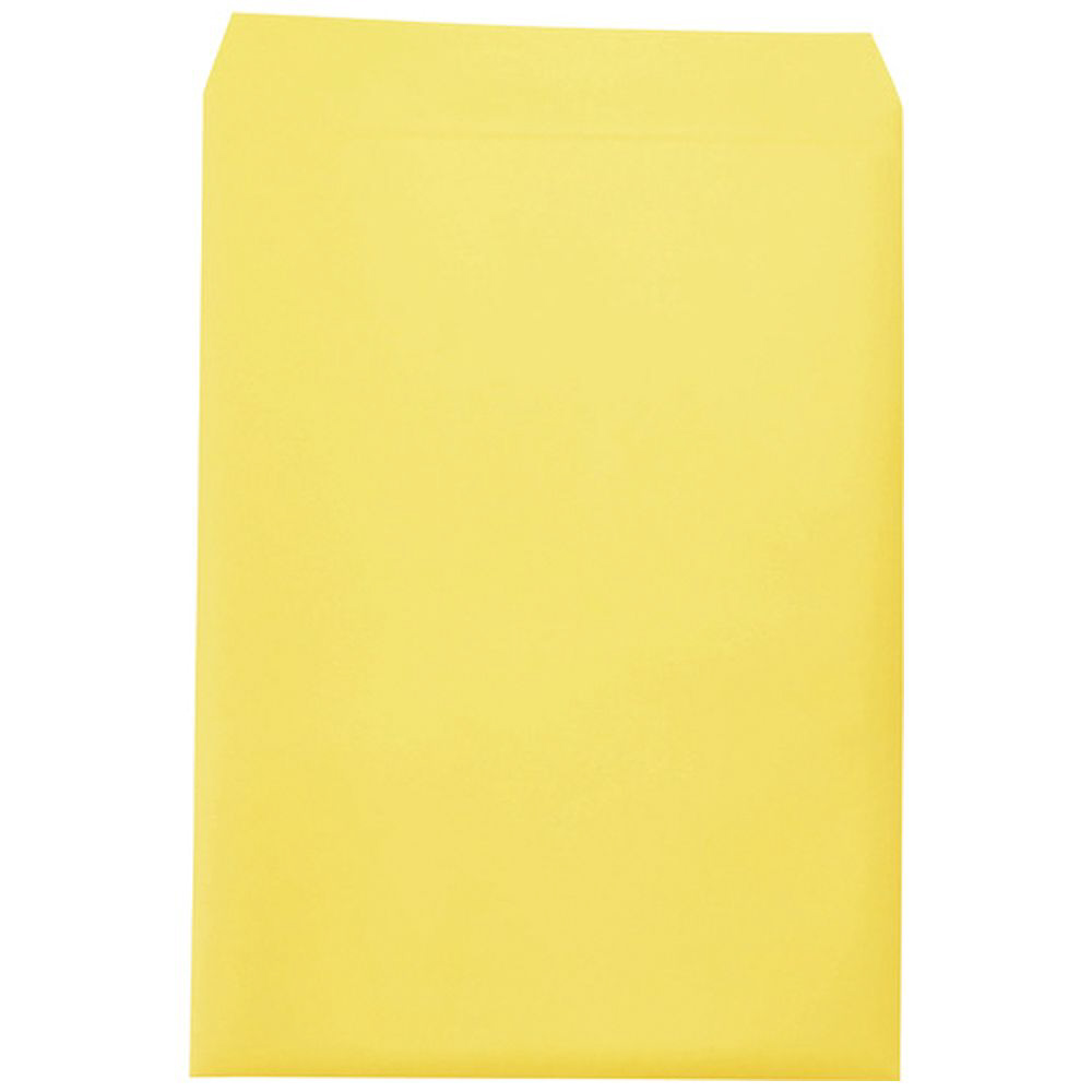 キングコーポ エコパックメール No．2 171002 100枚X1箱 171002｜の通販はソフマップ[sofmap]