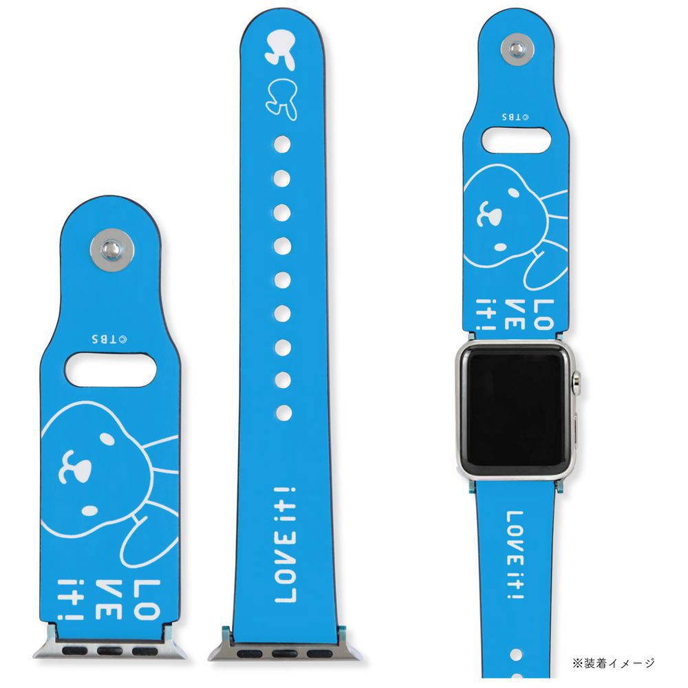 Apple Watch 41/40/38mm 対応ベルト ラヴィット！ラッピー フェイス MLPY-12A｜の通販はソフマップ[sofmap]