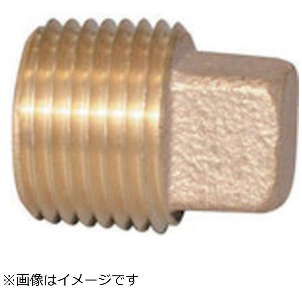 TBC 砲金プラグ 20H-P｜の通販はソフマップ[sofmap]