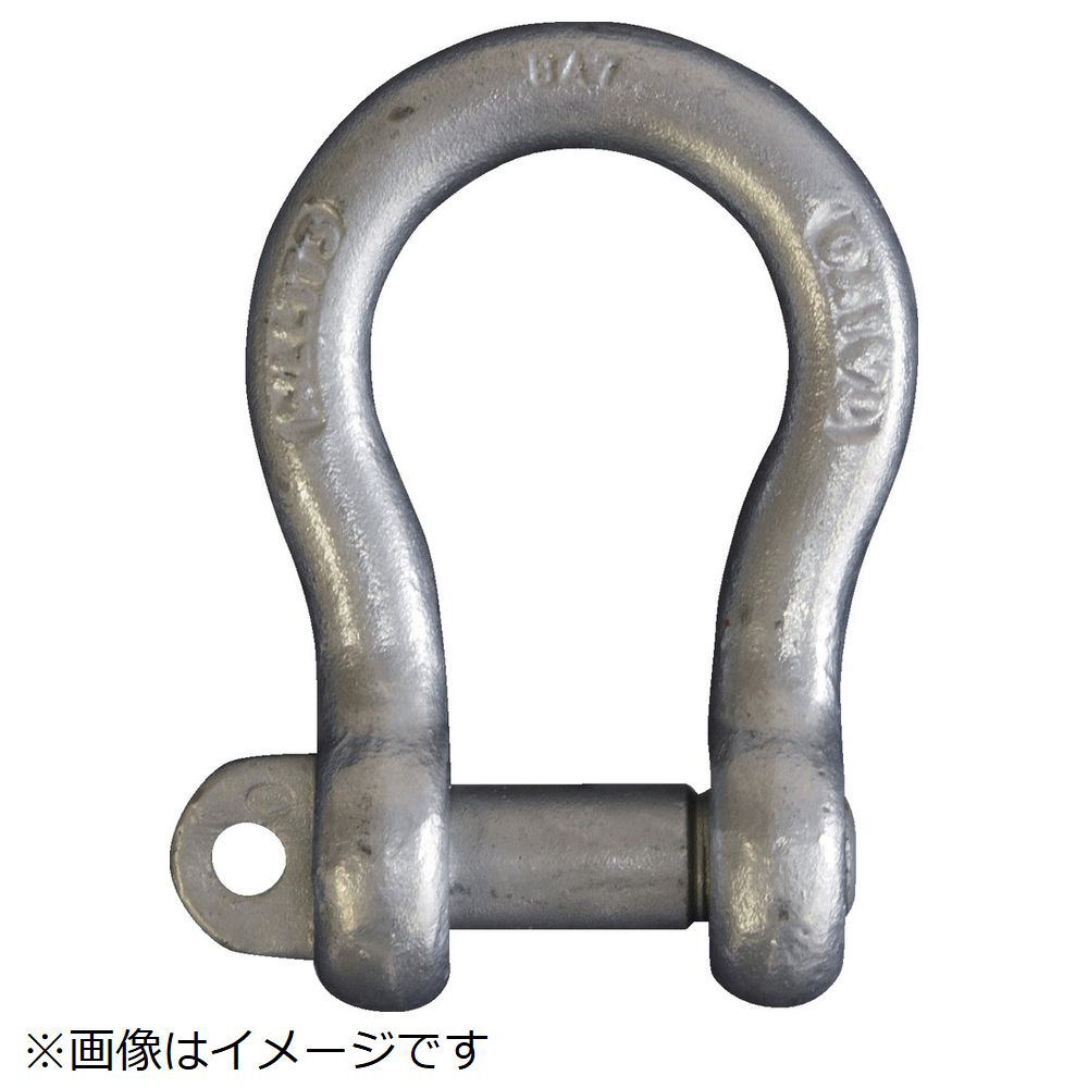 大洋 TAIYOシャックル ドブ BD－12 BD-12G｜の通販はソフマップ[sofmap]