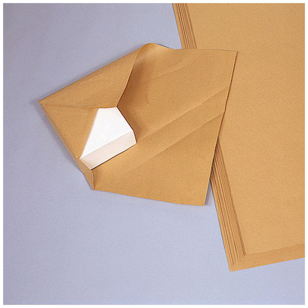 HEIKO クラフト紙 ハトロン判＜75＞5 A4サイズ 500枚入り 002101050｜の通販はソフマップ[sofmap]