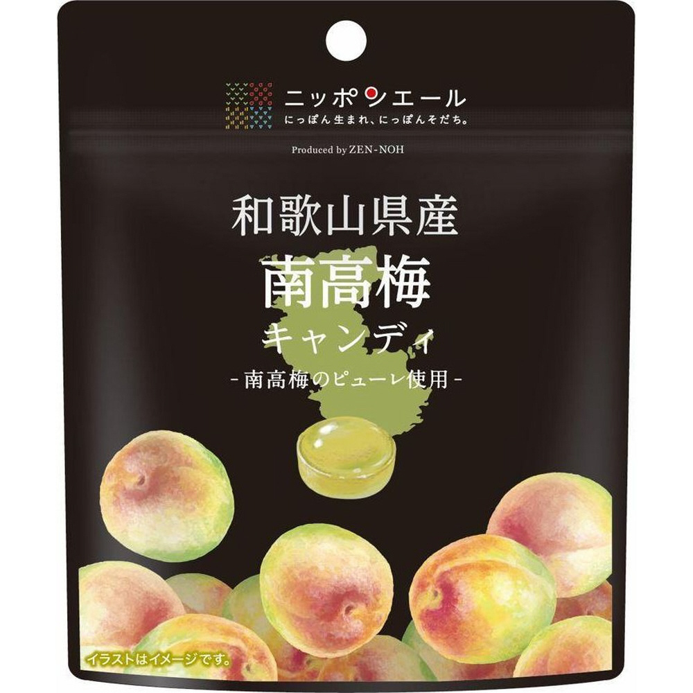 和歌山県産南高梅 キャンディ 30g｜の通販はソフマップ[sofmap]