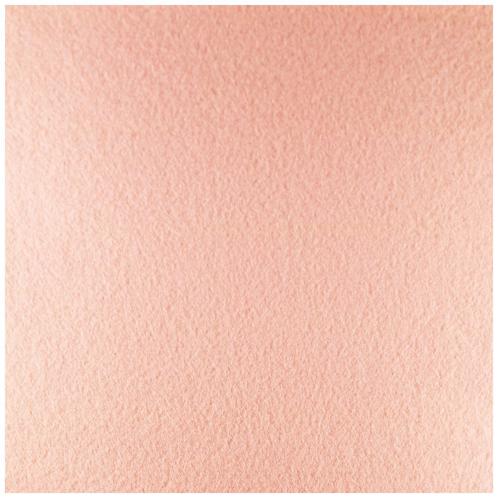 Kフェルト シ－ルタイプ（18cm）5枚入り｜の通販はソフマップ[sofmap]