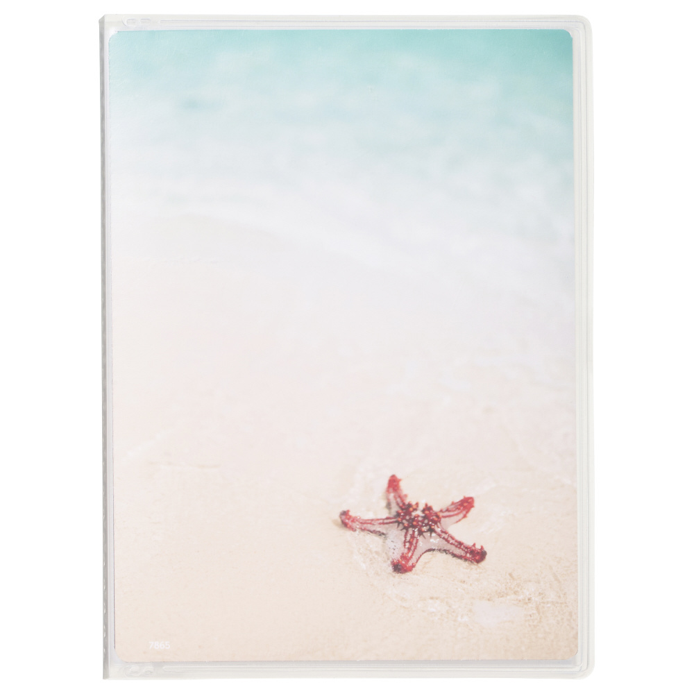 【高透明フィルム アルバム】 PポケットアルバムCP タテ Lサイズ 40枚収納 ヒトデ ハクバ ヒトデ APCPL40HTD｜の通販はソフマップ[sofmap]